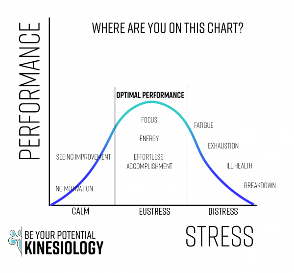 Stress vs Performance ~ Be Your Potential