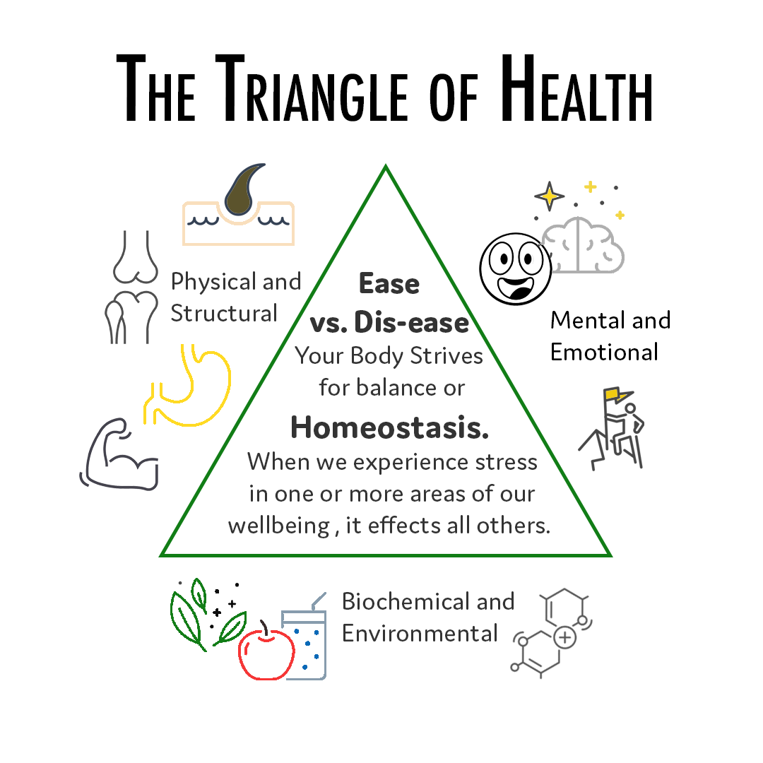 What is Kinesiology? ~ Be Your Potential